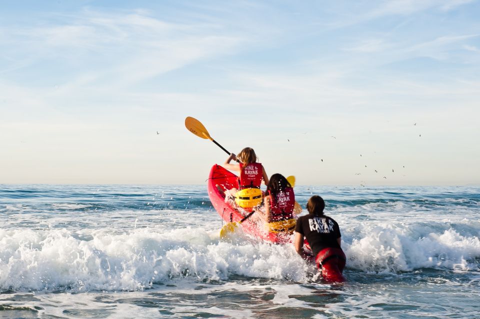 La Jolla: 2-Hour Kayak Tour of the 7 Caves - What to Expect Before Paddling