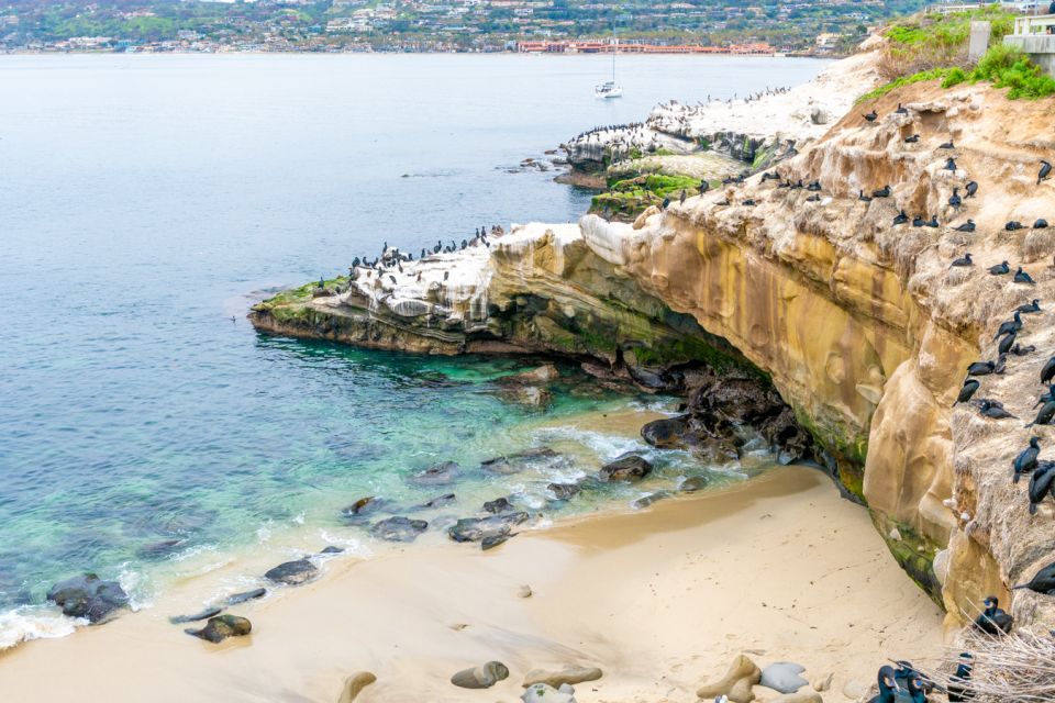 La Jolla Food & Drink Walking Tour - Sip, Savor & Sea - A Detailed Look at the La Jolla Food & Drink Walking Tour