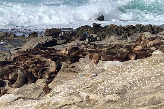 La Jolla Jig Scavenger Hunt - Key Points