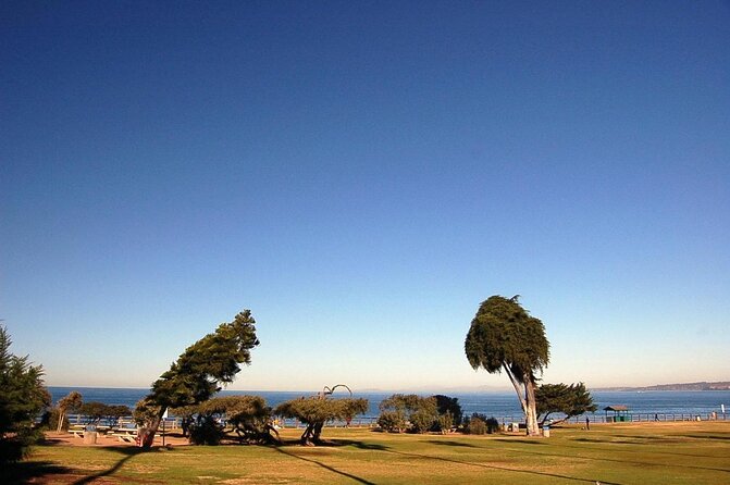 La Jolla Jig Scavenger Hunt - Final Thoughts