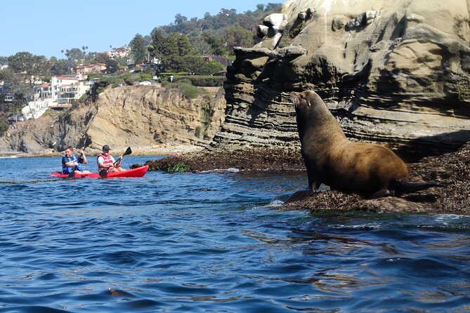 La Jolla Kayak Rental - The Sum Up