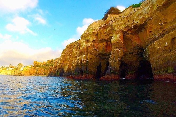 La Jolla Sea Caves Kayak Tour For Two (Tandem Kayak) - Introduction