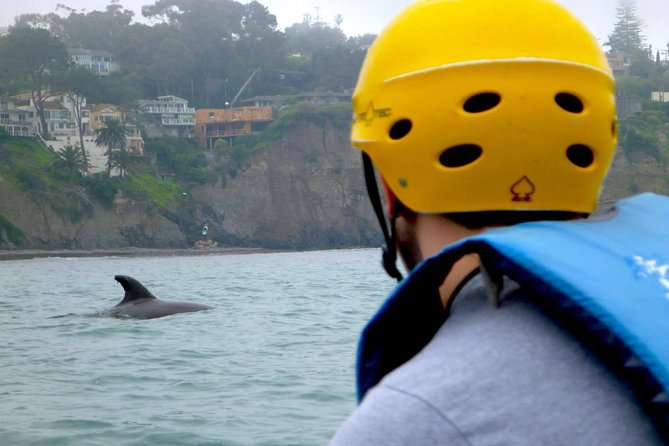 La Jolla Sea Caves Kayak Tour For Two (Tandem Kayak) - Key Points