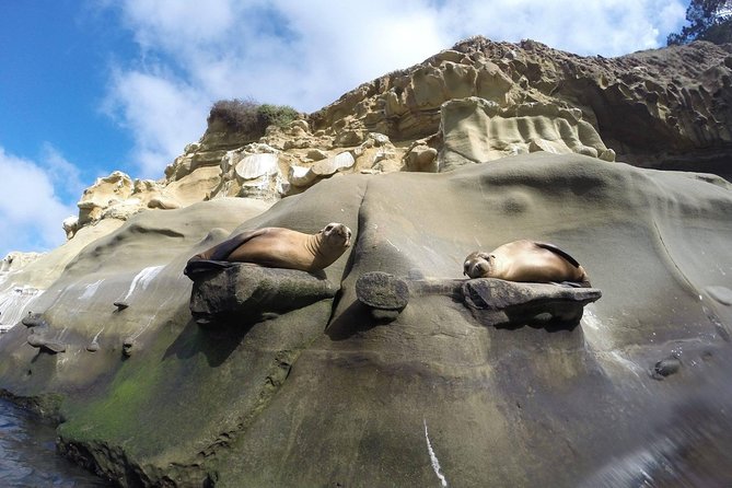 La Jolla Sea Caves Kayak Tour For Two (Tandem Kayak) - Practical Details and What to Know