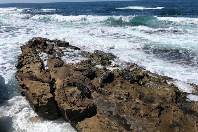 La Jolla Segway Tour - FAQ