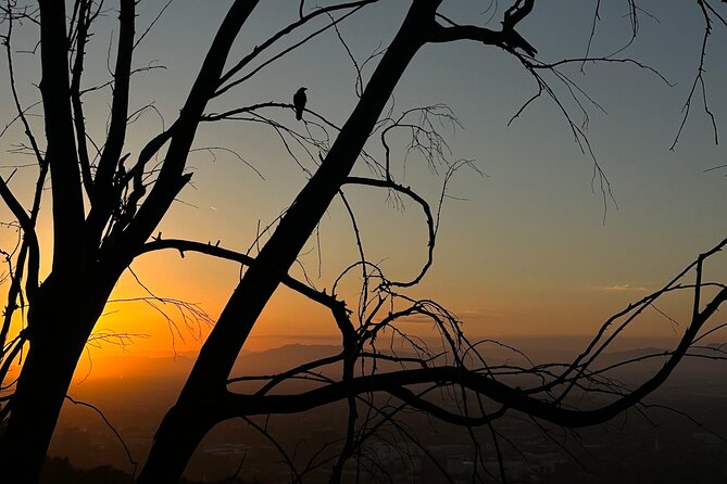 LA Night Hikers - Final Thoughts: Is It Worth It?