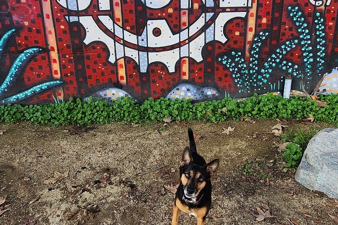 LA River Eco Tour and Secret Stair Hike - Authentic Insights from Reviewers