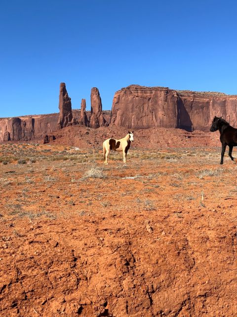LA: San Francisco, Yosemite, Las Vegas, Antelope, 8-Day Tour - Final Thoughts: Is This Tour Worth It?
