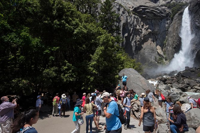 LA: San Francisco, Yosemite, Vegas & Hoover Dam, 5-Day Tour - Real Guest Perspectives and Insights