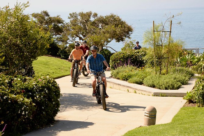 Laguna Beach Backroads Electric Bike Tour - What to Expect from the Experience