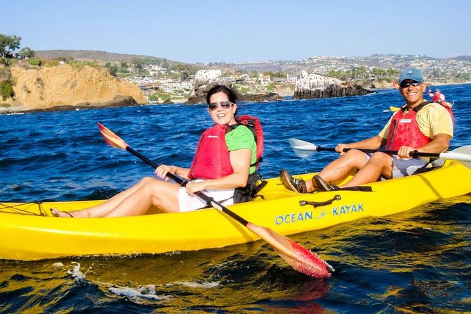 Laguna Beach Kayak Tour with Sea Lion Viewing - What’s Included and What to Bring