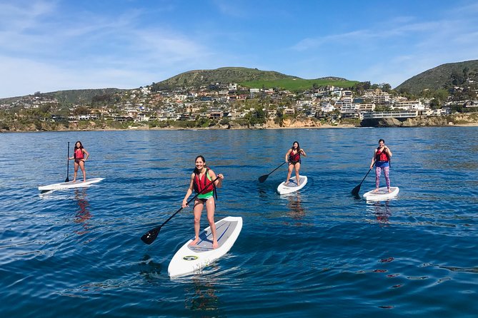Laguna Beach Kayak Tour with Sea Lion Viewing - Weather and Conditions: What You Should Know  