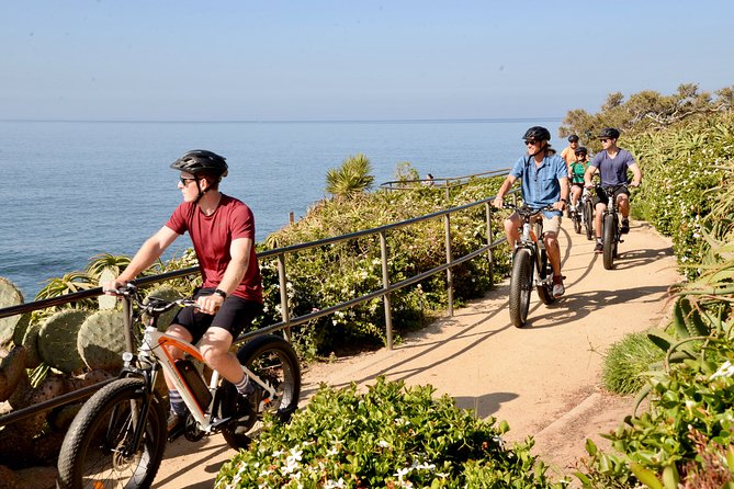 Laguna Beach Kayak Tour with Sea Lion Viewing - The Value of This Tour  