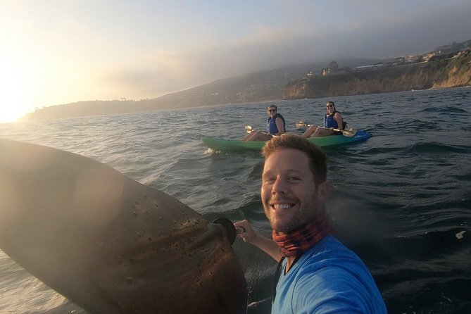 Laguna Beach Open Ocean Kayaking Tour with Sea Lion Sightings - The Experience with Guides: Knowledge and Friendliness Matter