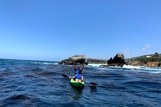 Laguna Beach Open Ocean Kayaking Tour with Sea Lion Sightings - The Real Value: Why It’s Worth the Price