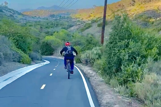 Laguna Niguel Electric MTB Tour Salt Creek to Colina Ridge (Beginner) - Who Should Book This Tour?