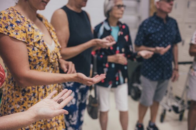 Lahaina Maui Ku'ia Estate Chocolate Factory Experience - Who Will Love This Tour?