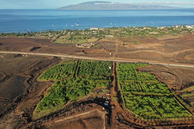 Lahaina: Maui Ku'ia Estate Guided Cacao Farm Tour and Tasting - Practical Tips for Visitors