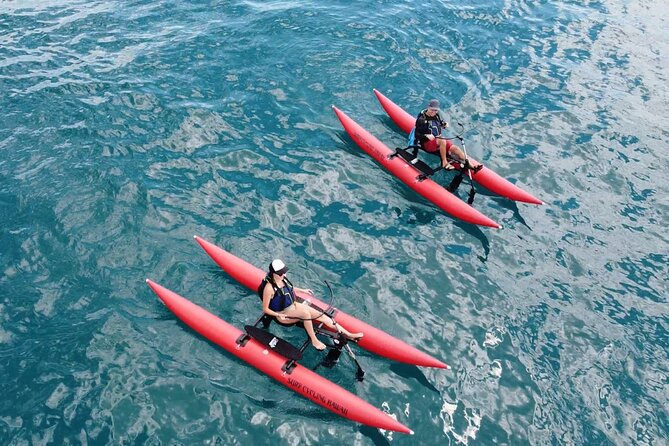 Lahaina, Maui Water Bike Tour - Key Points