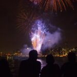 Lake Michigan Fireworks Cruise in Chicago - An In-Depth Look at the Lake Michigan Fireworks Cruise
