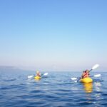 Lake Tahoe: Discover Kayaking or Paddleboarding Tour - Practical Details and Value