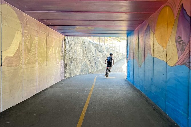 Lake Tahoe: Full Day Self-Guided Bike Tour - An In-Depth Look at the Lake Tahoe Self-Guided Bike Tour  