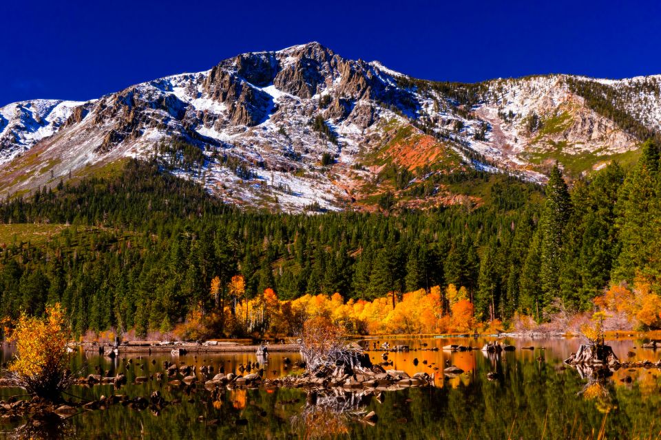 Lake Tahoe: Half-Day Photographic Scenic Tour - Exploring the Itinerary in Detail