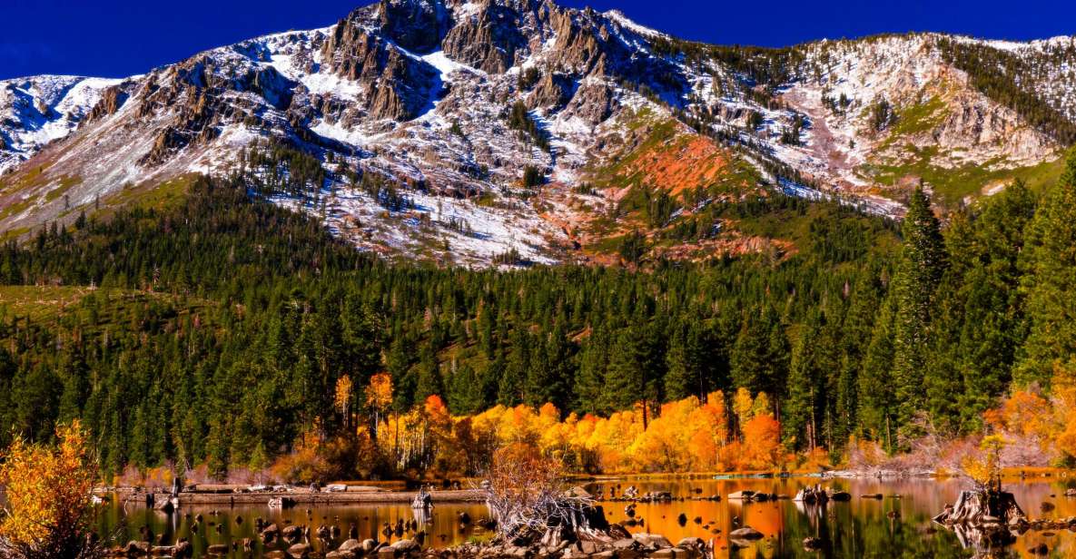 Lake Tahoe: Half-Day Photographic Scenic Tour - Transportation, Timing, and Group Experience