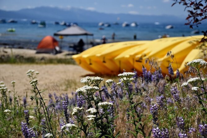 Lake Tahoe: North Shore Kayak Rental - Who Will Love This Experience?