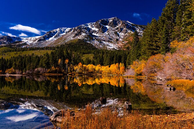 Lake Tahoe Small-Group Photography Scenic Half-Day Tour - Who Should Book This Tour?