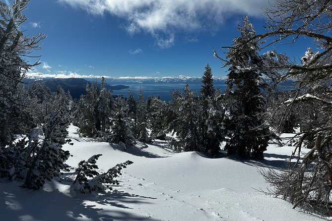 Lake Tahoe Snowshoe Rental Packages - Price Analysis and Value