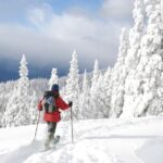 Lake Tahoe Snowshoe Rental Packages - The Experience’s Highlights and Limitations