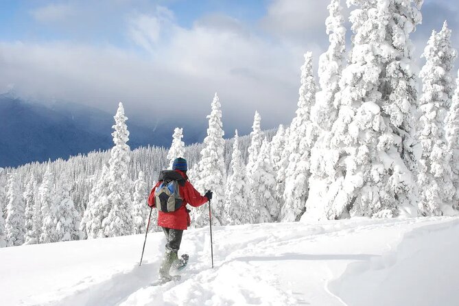 Lake Tahoe Snowshoe Rental Packages - The Experience’s Highlights and Limitations