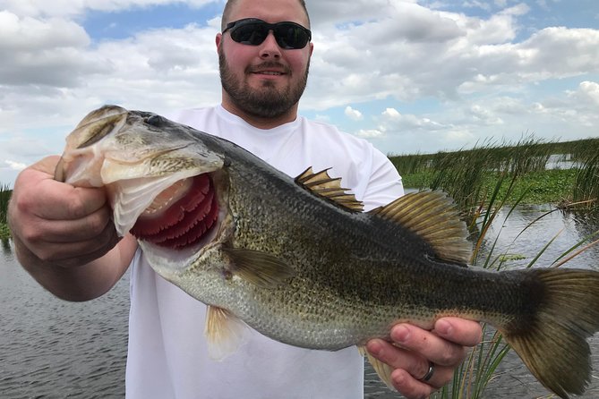 Lake Trafford Fishing Trips near Naples Florida - Deep Dive into the Itinerary