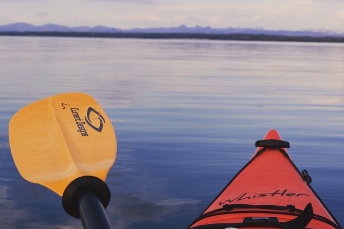 Lake Yellowstone Half Day Kayak Tours Past Geothermal Features - Who Will Love This Tour?