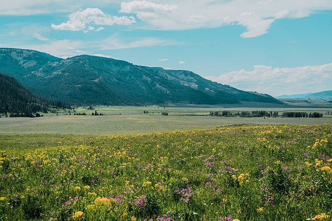 Lamar River Valley Day Hike Tour - Key Points