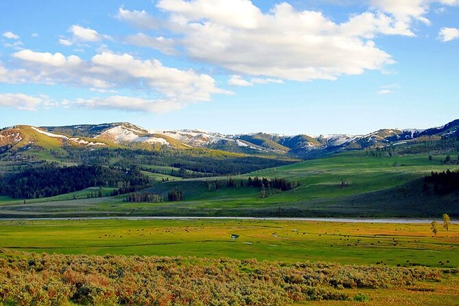 Lamar River Valley Day Hike Tour - What’s Included and What’s Not