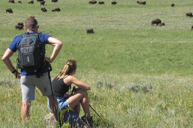 Lamar Valley Safari Hiking Tour with Lunch - The Value of This Yellowstone Wildlife Tour