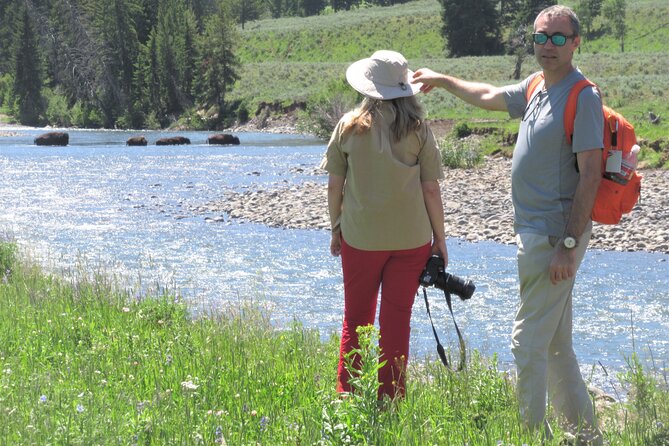 Lamar Valley Safari Hiking Tour with Lunch - Who Should Consider This Tour?