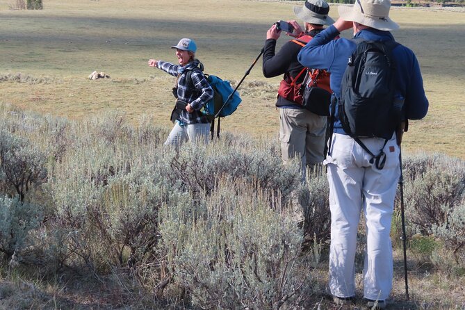 Lamar Valley Safari Hiking Tour with Lunch - Frequently Asked Questions