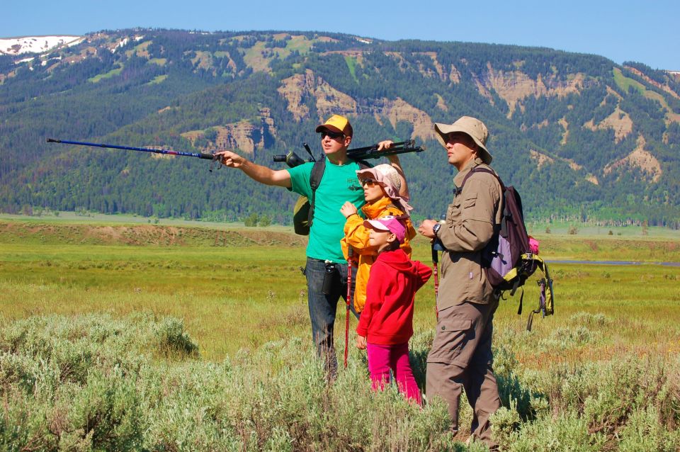 Lamar Valley: Safari Hiking Tour with Lunch - Key Points