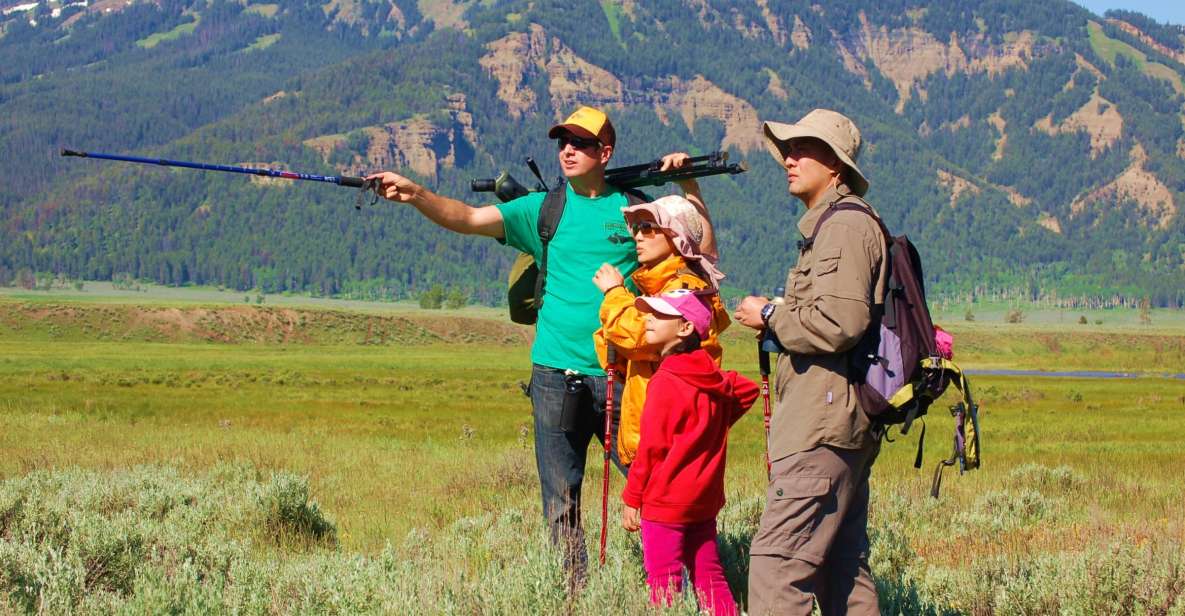 Lamar Valley: Safari Hiking Tour with Lunch - A Detailed Look at the Tour Experience