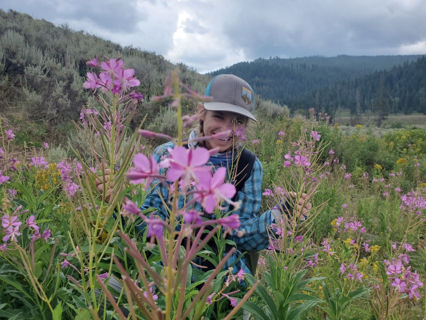 Lamar Valley: Safari Hiking Tour with Lunch - Who Will Love This Tour?