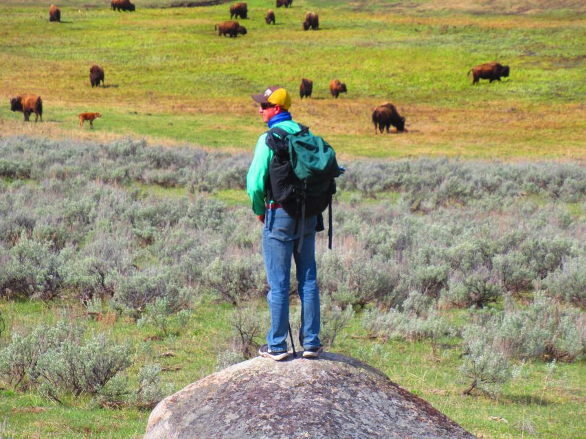 Lamar Valley: Safari Hiking Tour with Lunch - Final Thoughts