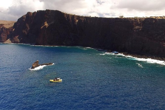 Lanai Deluxe Dolphin Adventure & 3 Snorkel Sites - Key Points  