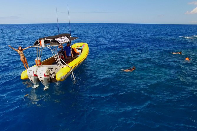Lanai Deluxe Dolphin Adventure & 3 Snorkel Sites - Setting off from Lahaina: The Journey Begins  