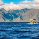 Lanai Deluxe Dolphin Adventure & 3 Snorkel Sites - Snorkel Spots: Three Varied Underwater Realms