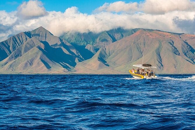 Lanai Deluxe Dolphin Adventure & 3 Snorkel Sites - Snorkel Spots: Three Varied Underwater Realms