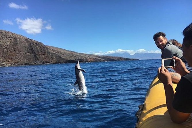 Lanai Deluxe Dolphin Adventure & 3 Snorkel Sites - Marine Wildlife Encounters: Dolphins, Turtles, and More  