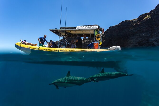 Lanai Deluxe Dolphin Adventure & 3 Snorkel Sites - Practical Details: What Travelers Need to Know  